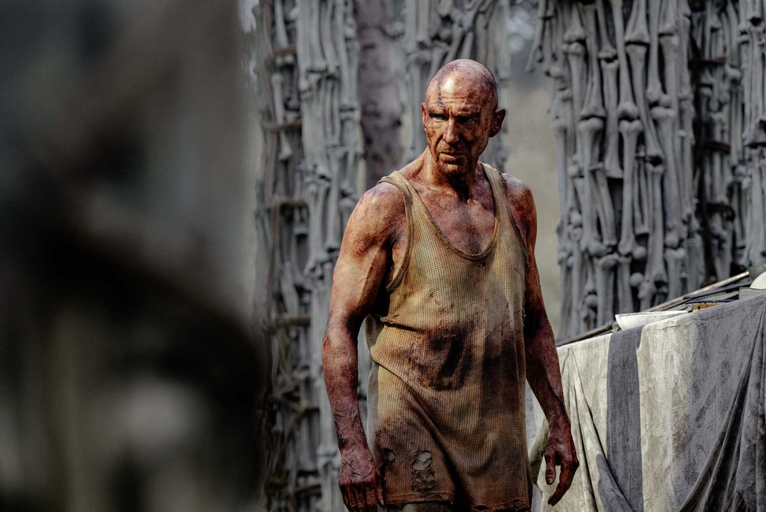 28 YEARS LATER - Hollywood Authentic